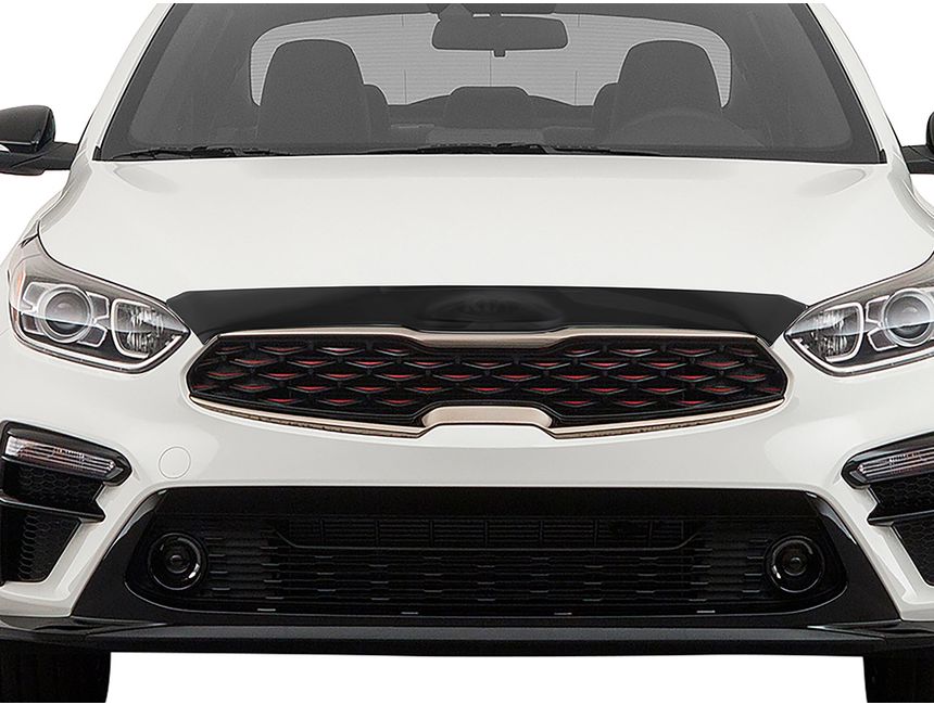 AVS® Aeroskin® Bug Shield 320084 | Havoc Offroad